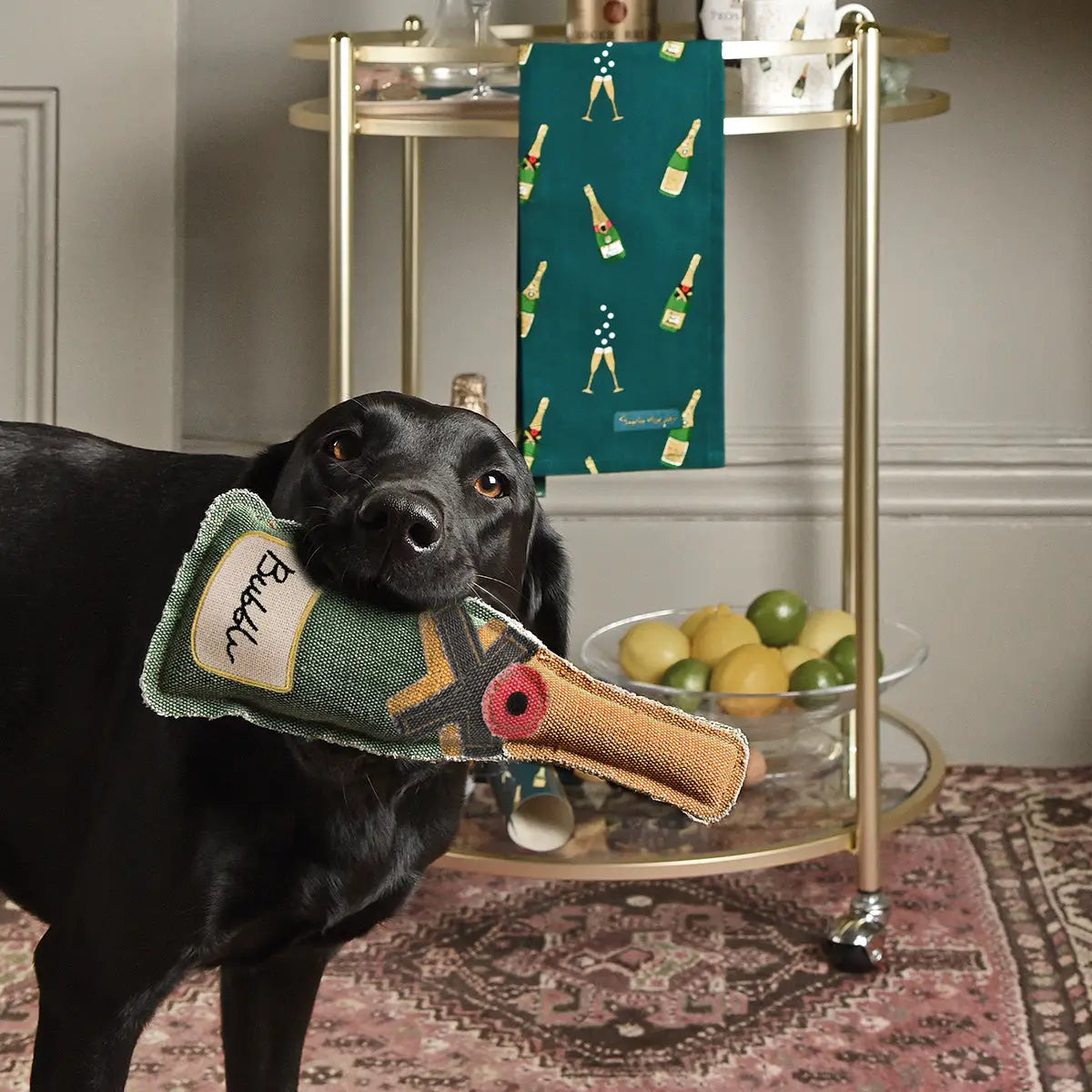 Bubbles & Fizz Dog Toy – City Paws Club