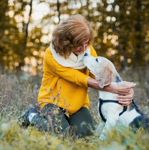 Wild Bush - Grooming – City Paws Club